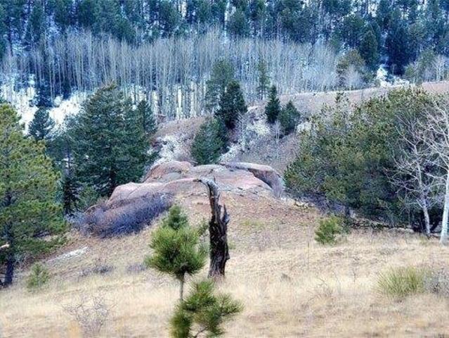 land Cripple Creek CO ES103501667