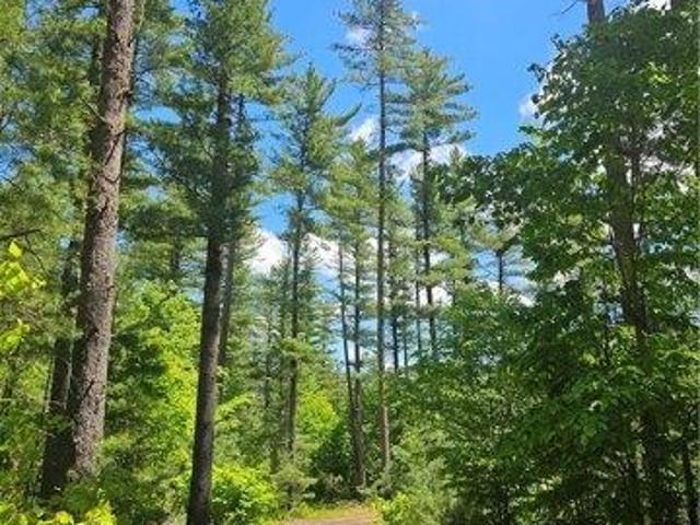 land Croghan NY DS103600012