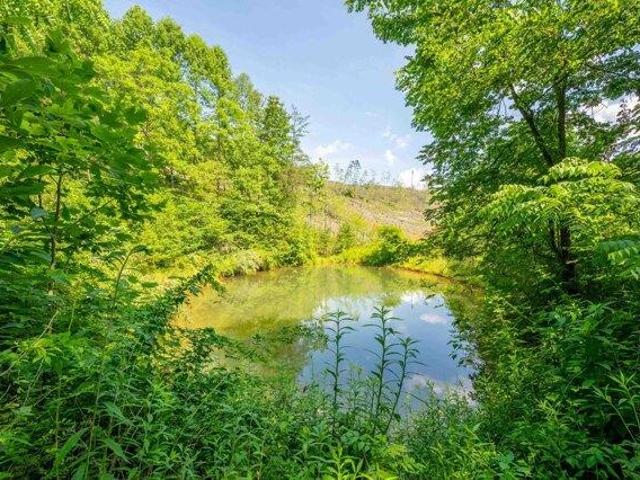 land Dugspur VA ES104907695