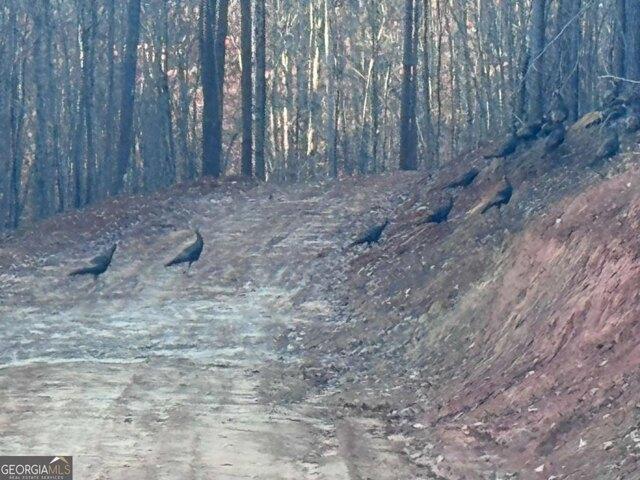 land Dallas GA ES104901347