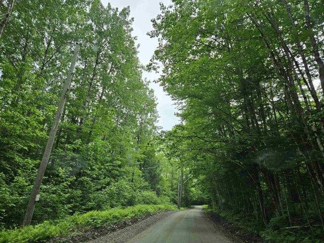 land Dalton NH DLS101800600