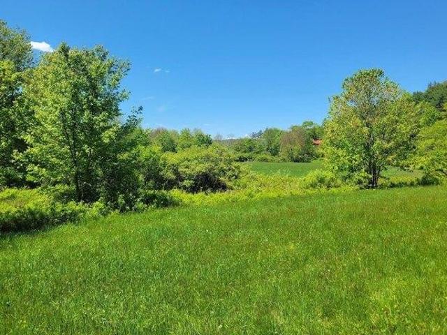 land Danbury NH DS102062172