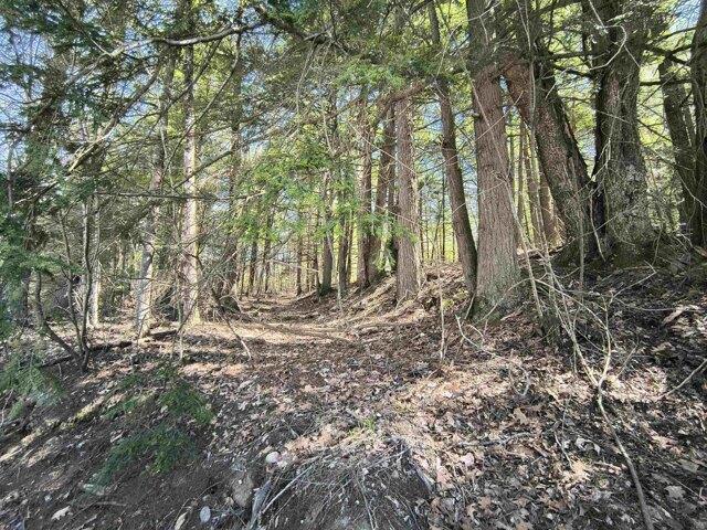 land Danbury NH DS102284853