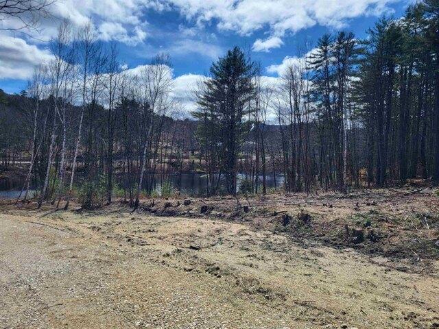 land Danbury NH ES105108953