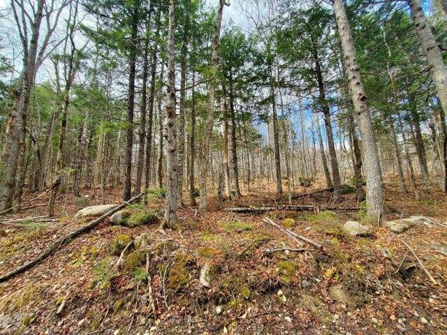 land Danforth ME DLS102778490