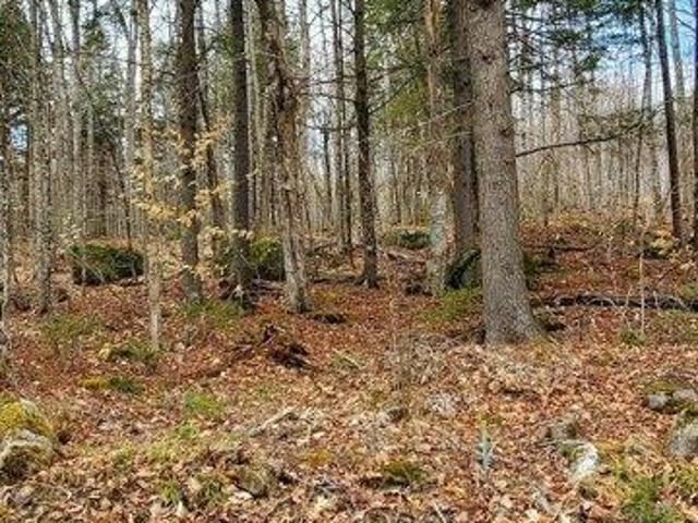 land Danforth ME ES103188391