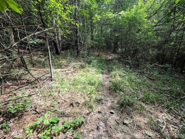 land Dansville NY ES104902189