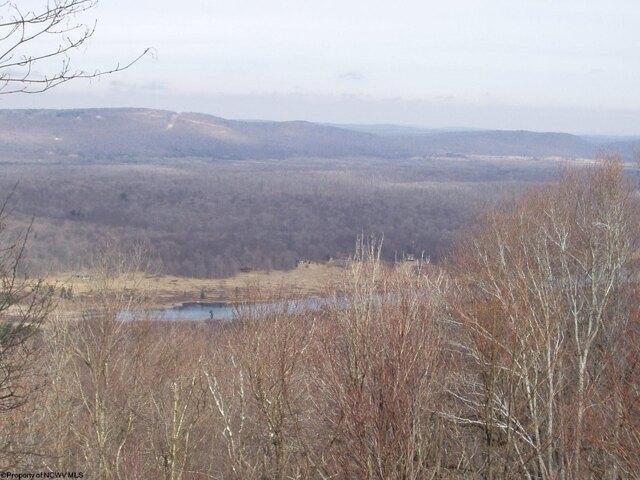land Davis WV ES103601415