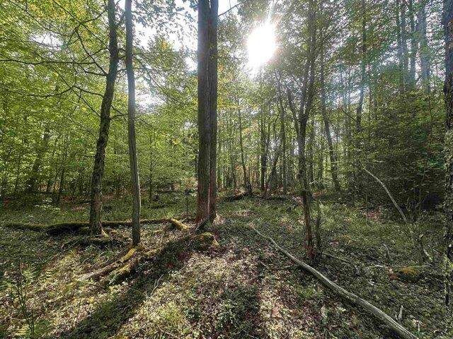 land Davis WV ES103602838