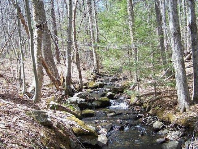 land Deering NH DS101896034