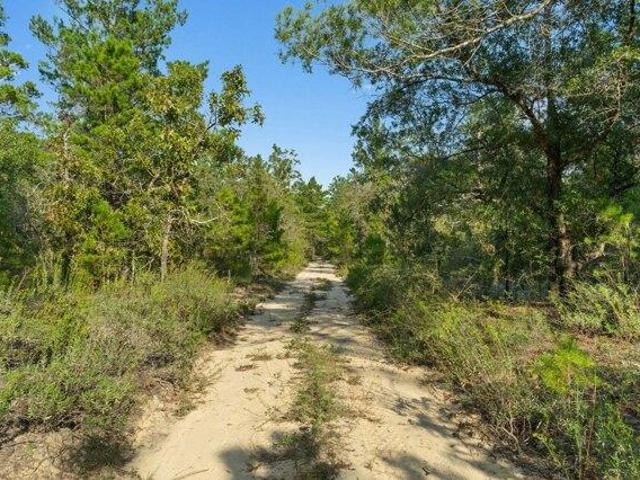 land Defuniak Springs FL DLS91812201
