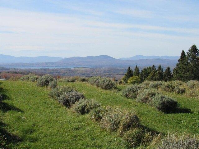 land Derby VT ES104543074