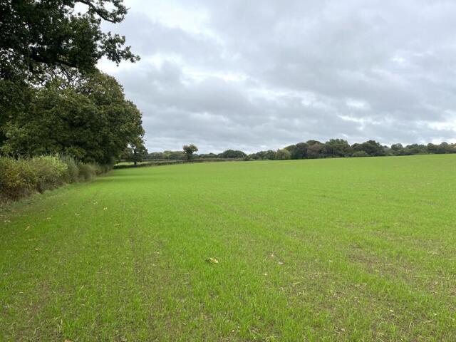 Land Devon Devon LS98968833