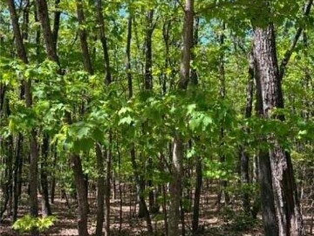 land Dobson NC ES103626816