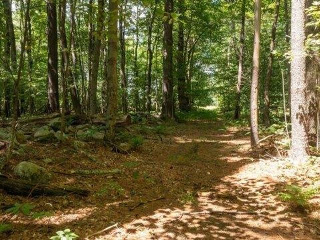 land Dorset VT ES104077348