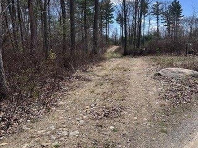 land Douglas MA DLS101748134