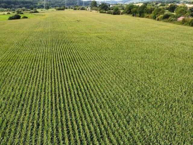Land Exeter Devon 98262657