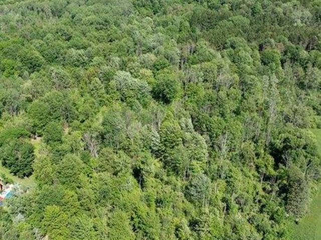 land East Aurora NY ES104900472