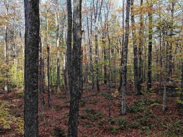 land East Haven VT DS102026024
