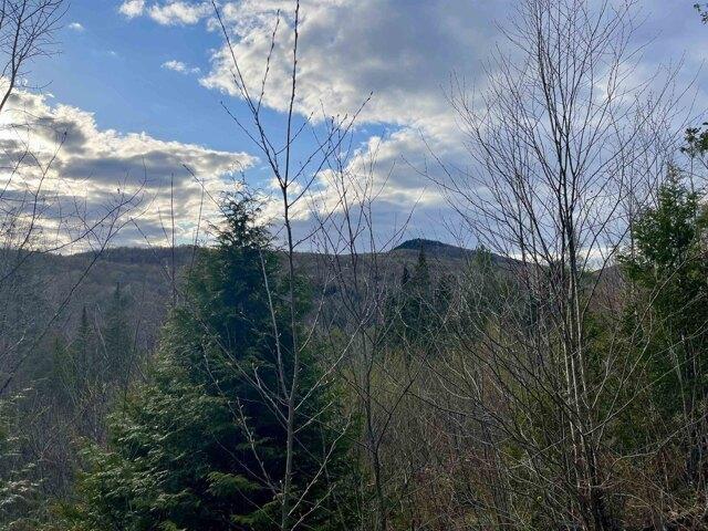 land East Haven VT DS103440365