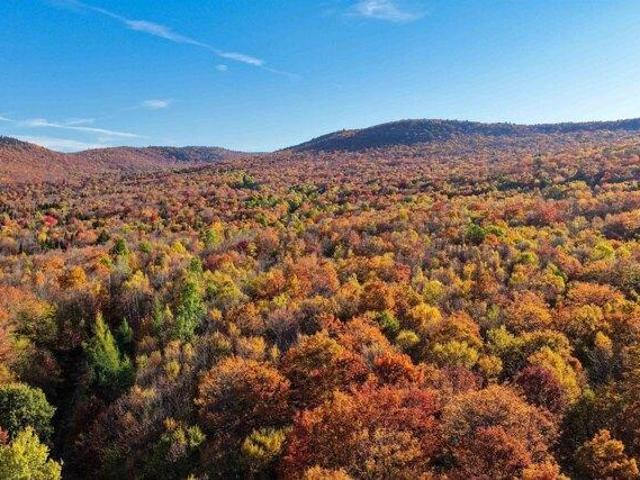 land East Haven VT ES103433896