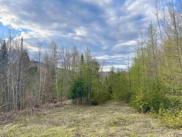 land East Haven VT ES105474936