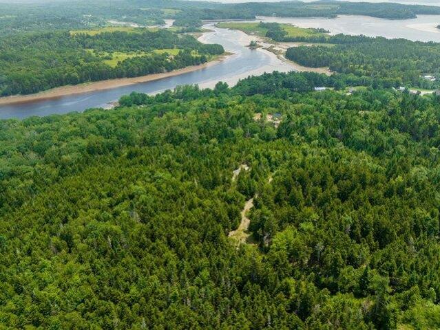 land East Machias ME DLS101659136