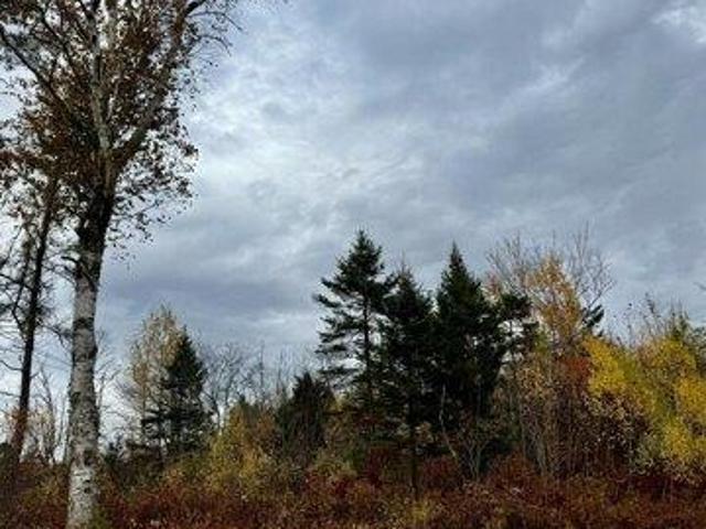 land East Machias ME DLS101749625