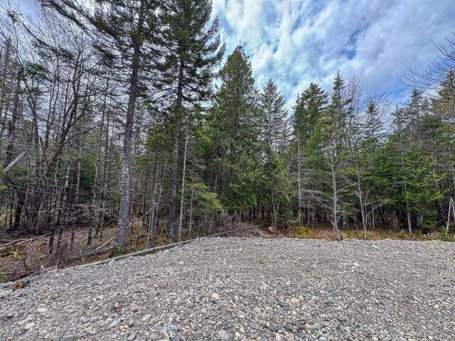 land East Machias ME DLS102446513