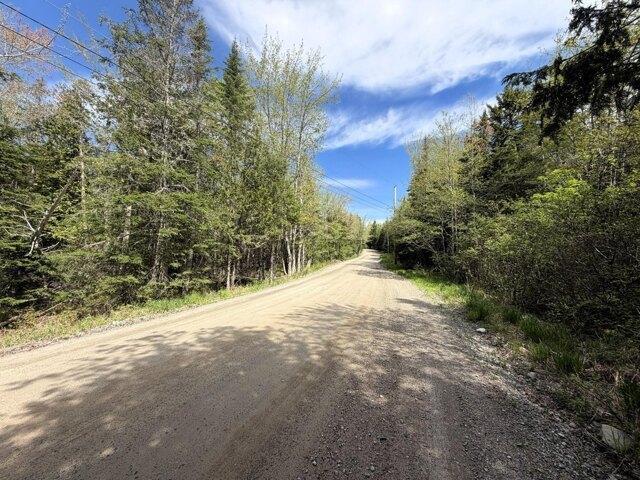 land East Machias ME DS103098554