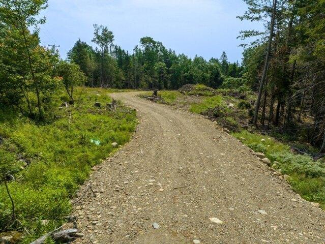 land East Machias ME ES105156113