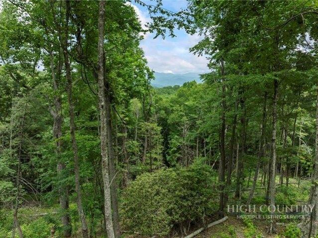 land Elk Park NC ES104898734