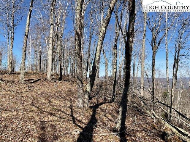 land Elk Park NC ES104899123