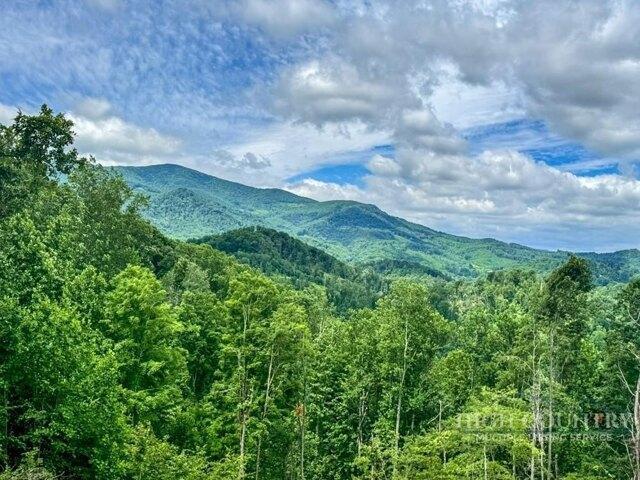 land Elk Park NC ES104902943