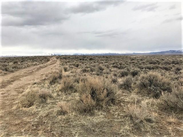 land Elko NV ELS59053614