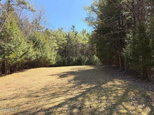 land Elizabethtown NY DS103620620
