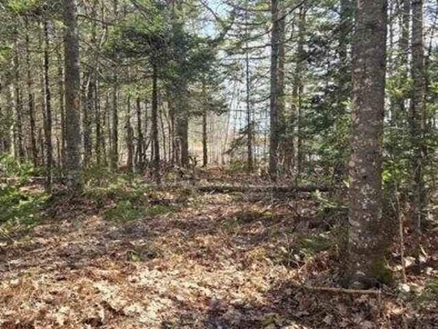 land Ellsworth ME ES104947012