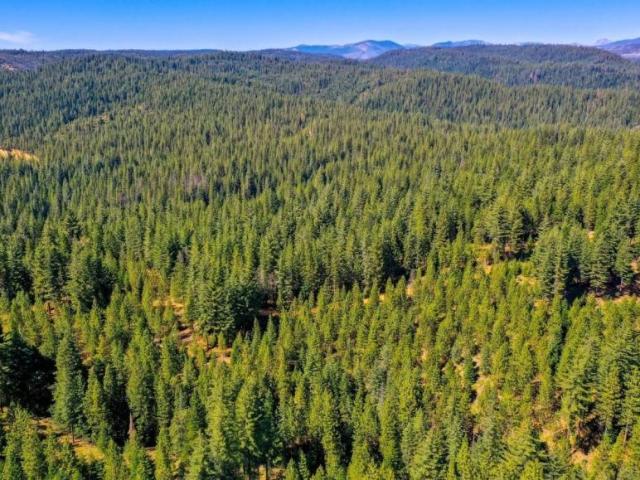 land Emigrant Gap CA DS101882781