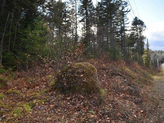 land Enfield NH DS102372140