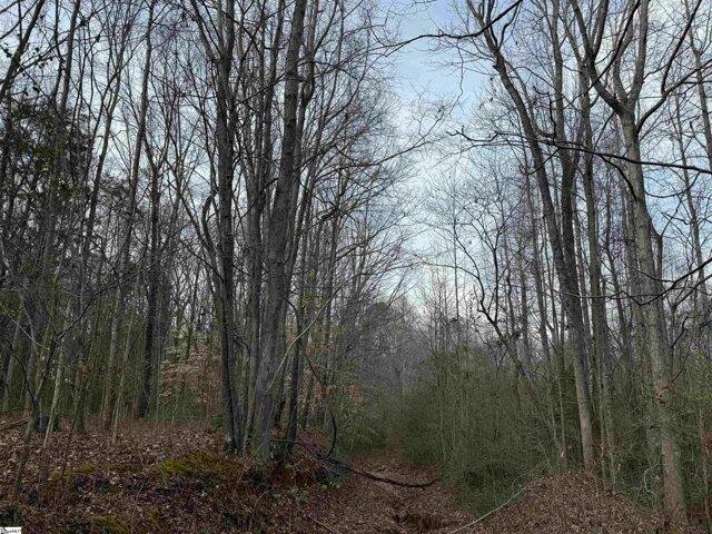 land Enoree SC DS103587855