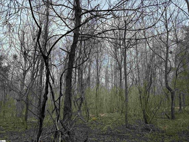 land Enoree SC ES103587855