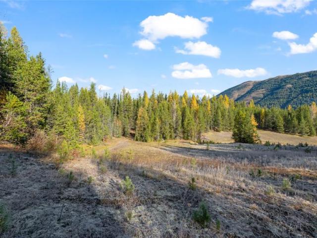 land Essex MT DLS90630423