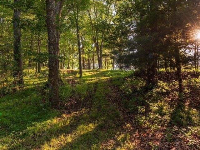 land Essex MA DS104406648