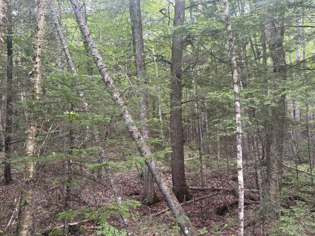land Farmington ME DS104151883