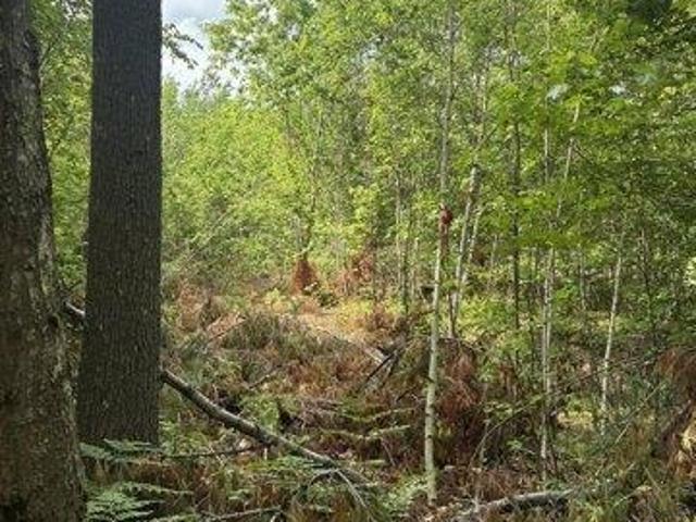 land Farmington ME ES103439431