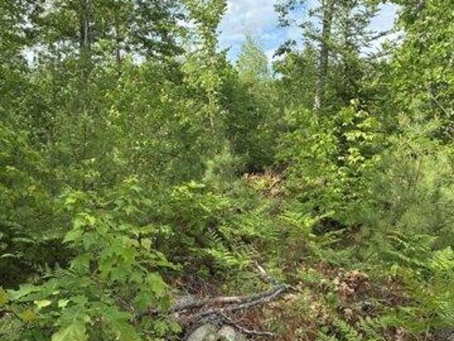 land Farmington ME ES105108144