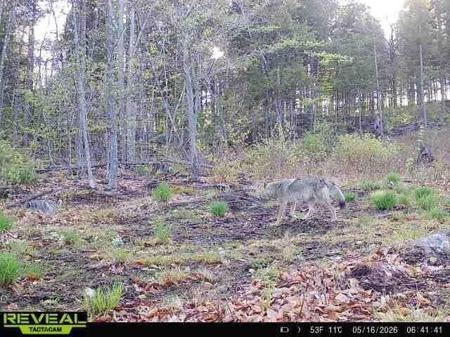 land Fayette ME ES105116163