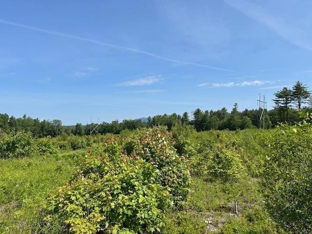land Fitzwilliam NH DLS102447562