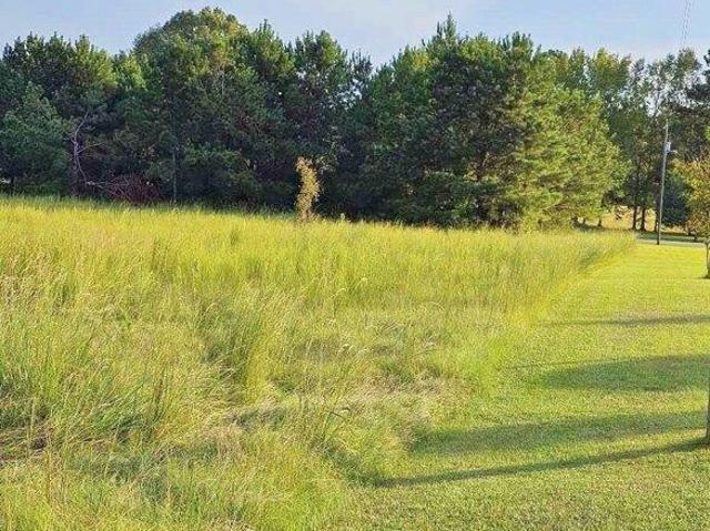 land Fitzpatrick AL DLS88246985