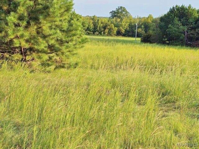 land Fitzpatrick AL ES103501162